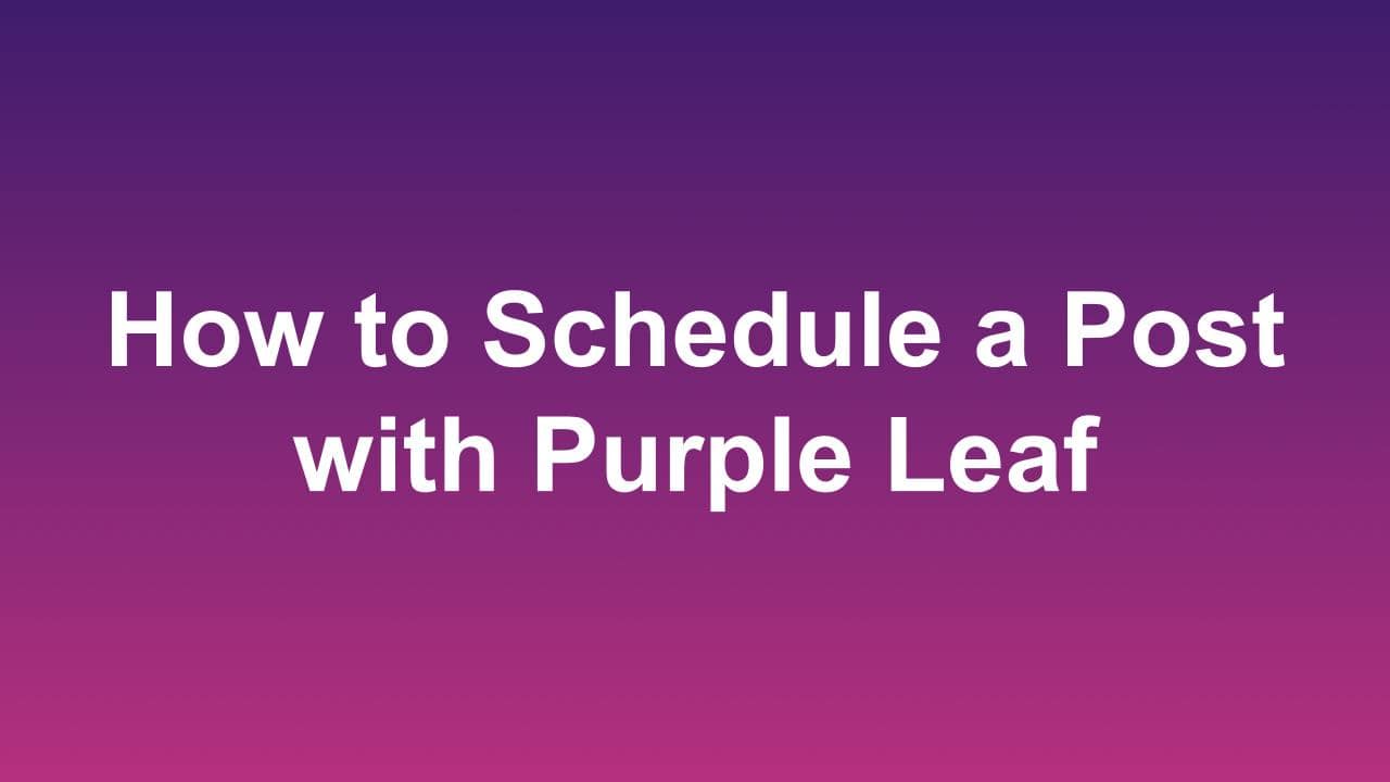 How to Schedule a Post with Purple Leaf