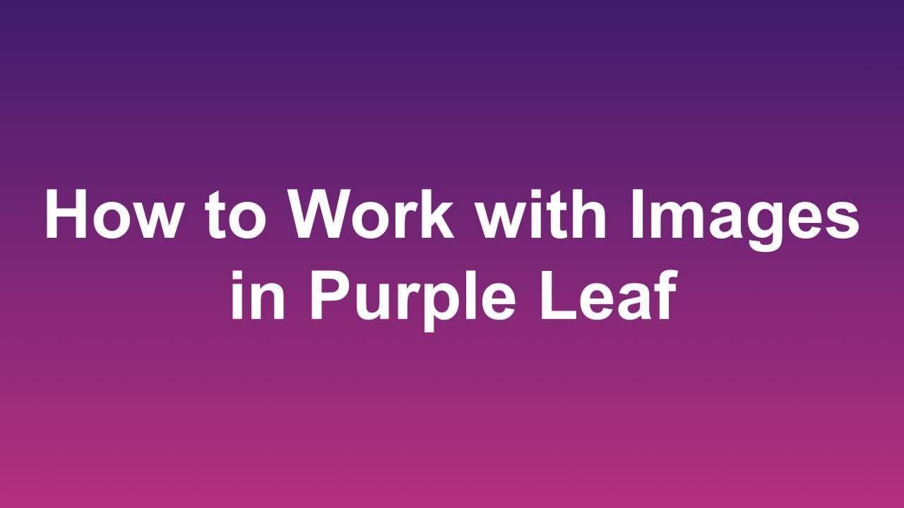 How to Work with Images in Purple Leaf